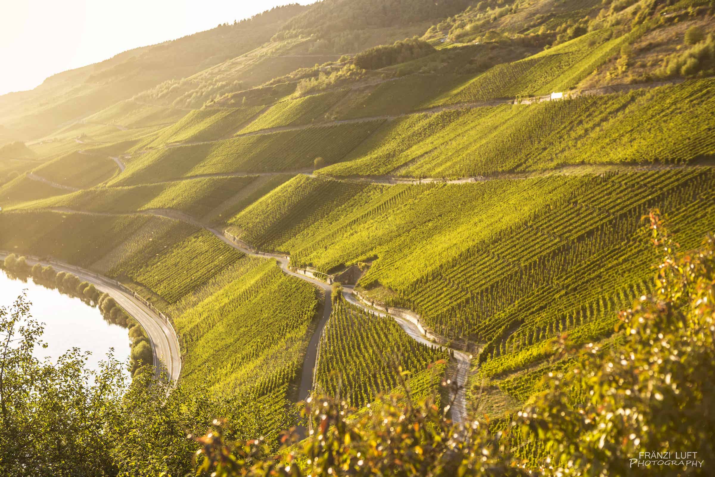 Weingut Gerhard Trossen | Weingut in Kröv an der Mosel